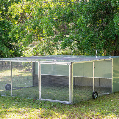 Jumbo Chicken Tractor