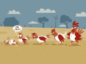 Understanding pecking order in chickens