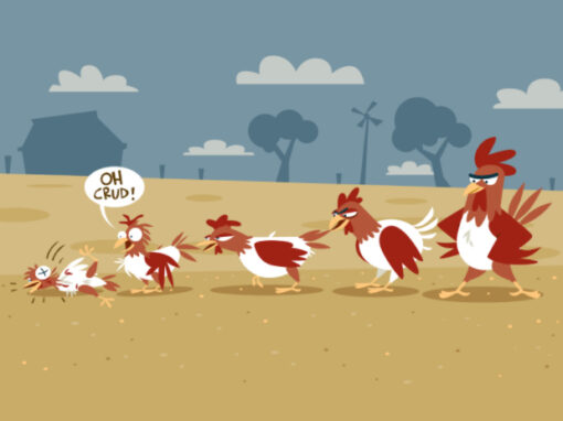 Understanding pecking order in chickens